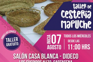 Taller de Cestería Mapuche | BiblioRedes