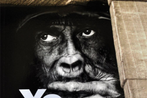 YO, SIMIO -SERGIO GÓMEZ- | BiblioRedes