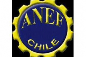 NUEVA DIRECTIVA DE LA ANEF INVITA A CUENTA DE GESTIÓN | BiblioRedes
