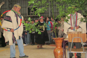 WE TRÍPANÜ DÍA SAGRADO PARA LOS MAPUCHES | BiblioRedes